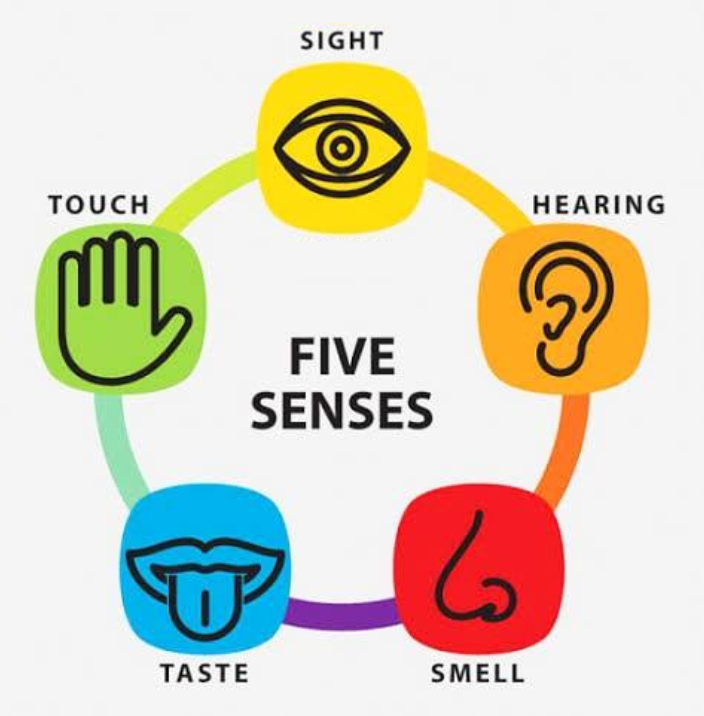 7 reasons you should be doing yoga: - Thread from Andrew Panella ...