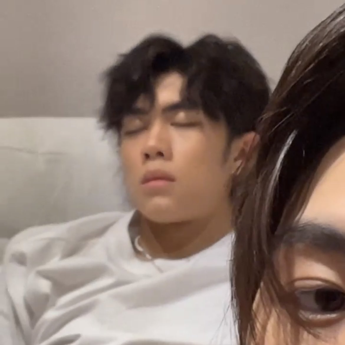 ชช 🐾 On Twitter โชกุนนอนง่ายได้ทุกที่จริง ๆ แค่หัวแตะโซฟาก็หลับเลย 🥺🤏🏻🤏🏻🤏🏻