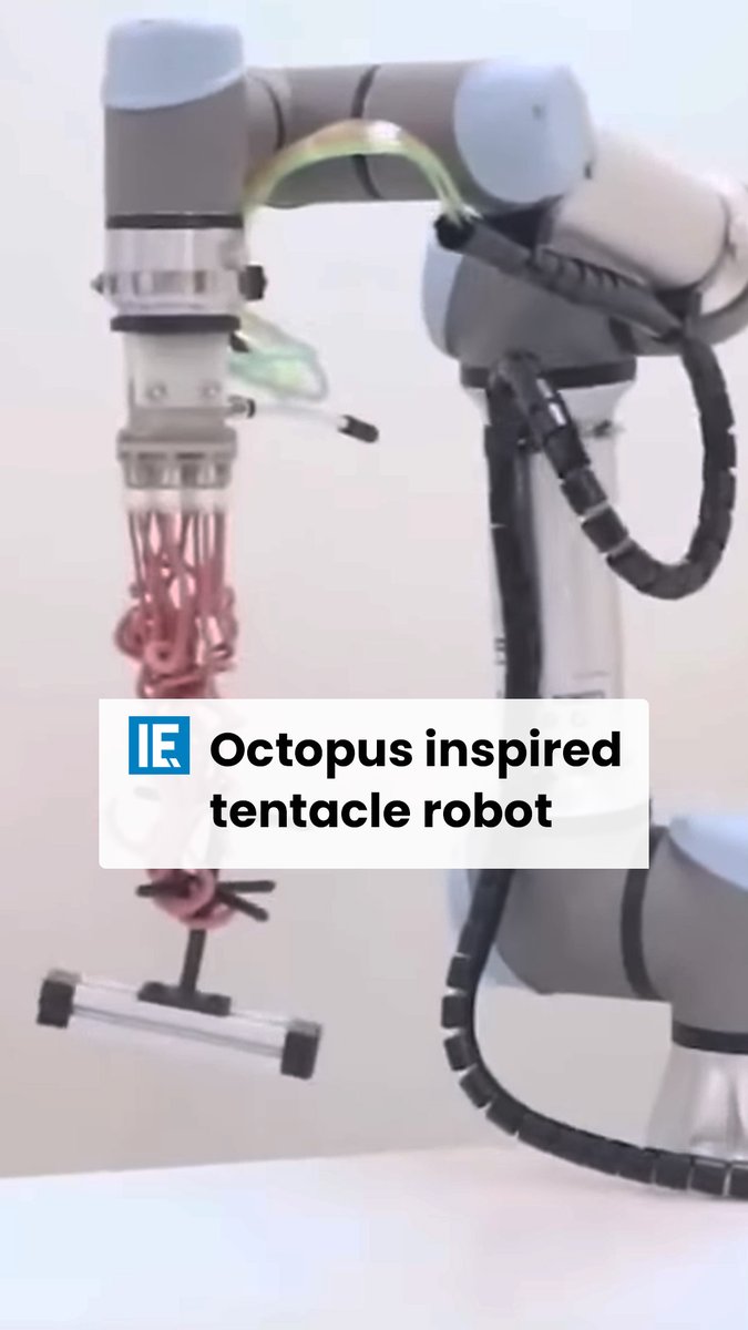 Interesting Engineering on Twitter: "The Eerie Robot employs expandable appendages to grasp ...