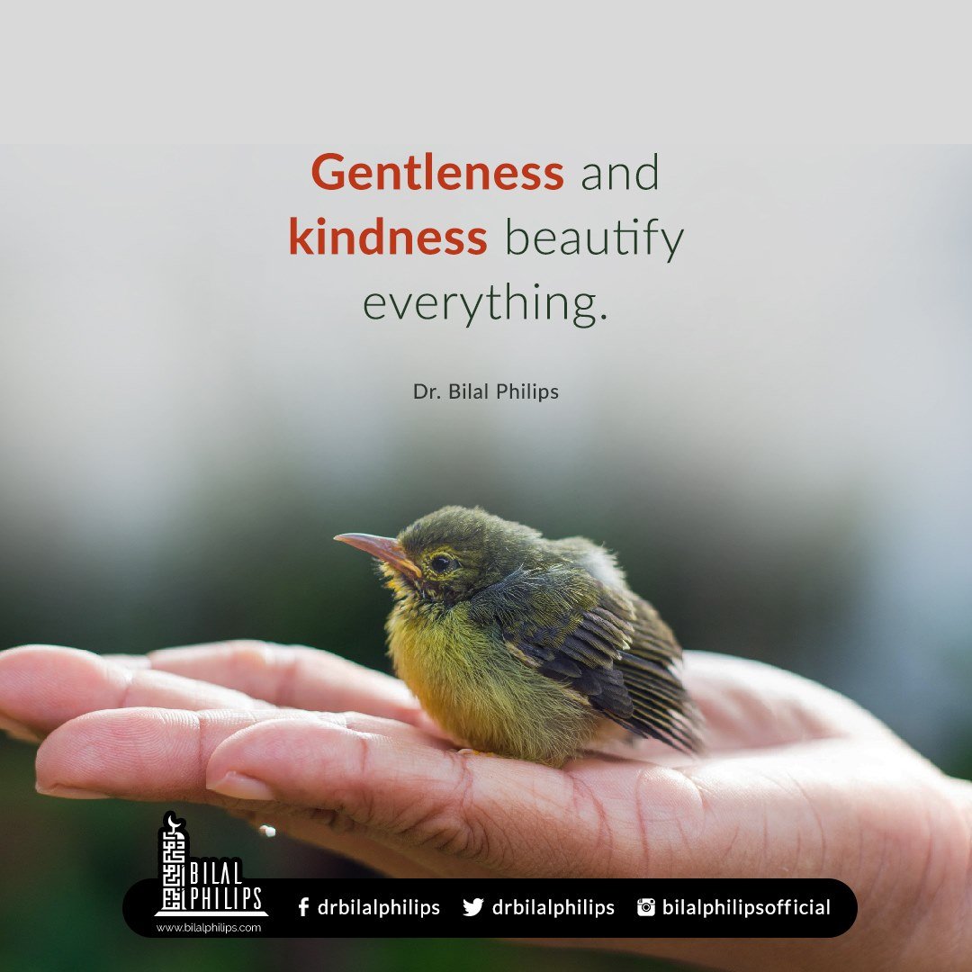 Gentleness Quotes