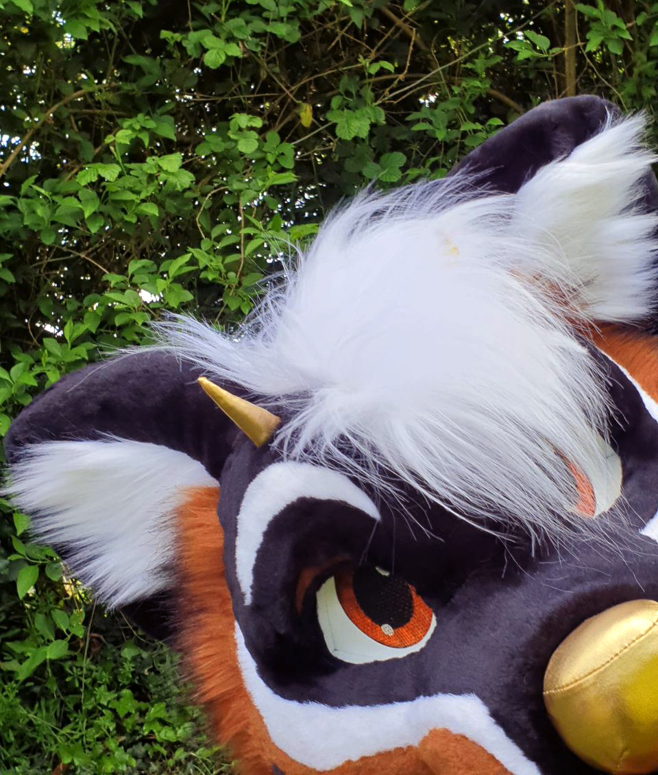 Darkgem ~ On Twitter Paws Based Off Of Kloofs Pattern Feetpaws Would Be Doable Theres More