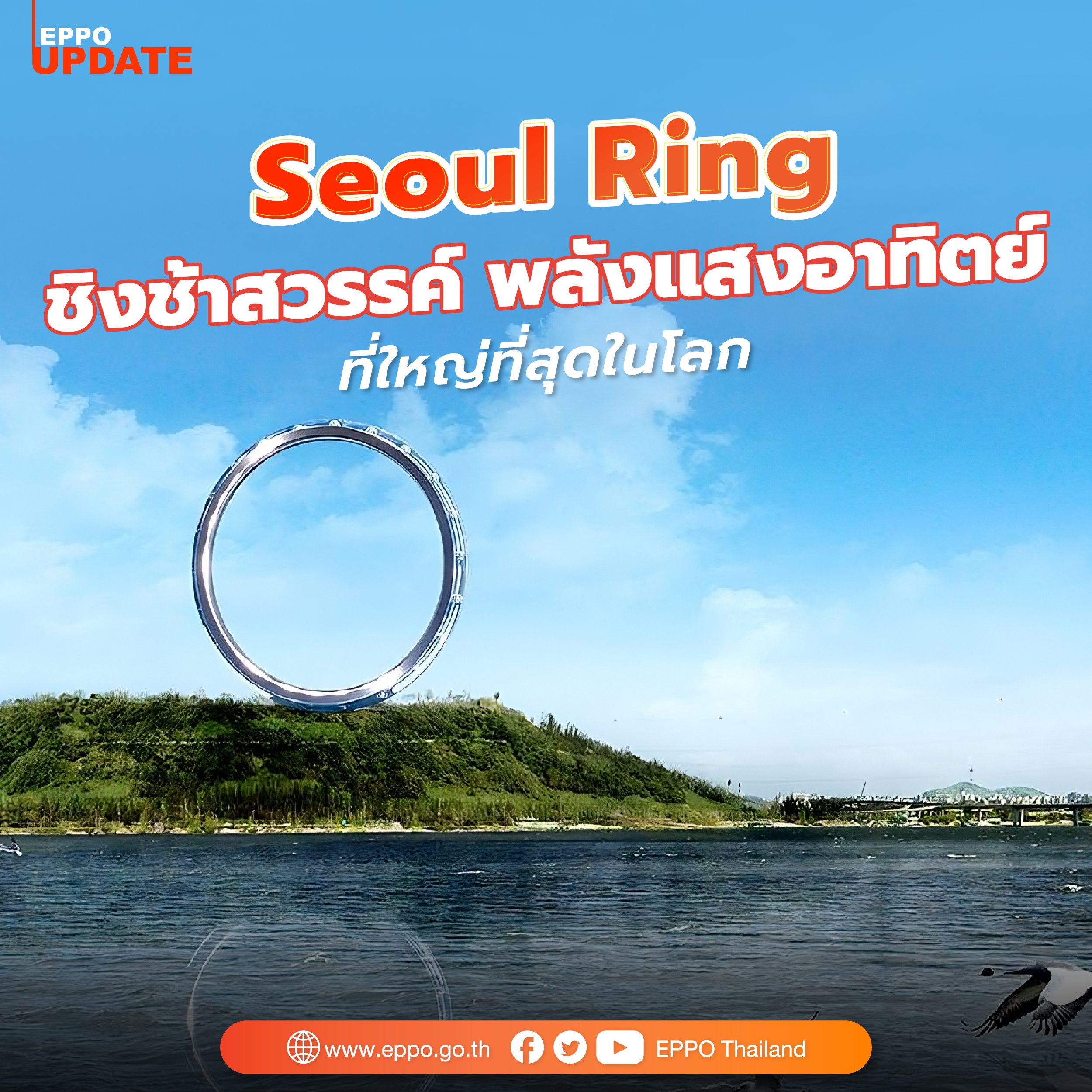 EPPO Thailand (@EppoThailand) / Twitter