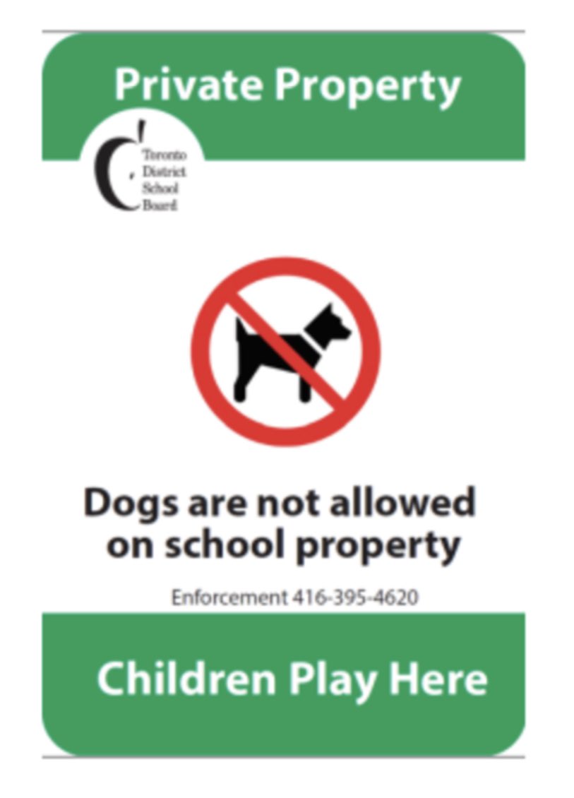 Should Dogs Be Allowed To Go To School