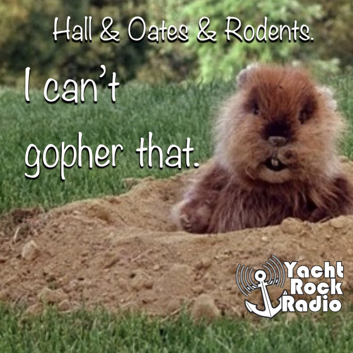 Caddyshack Gopher Meme
