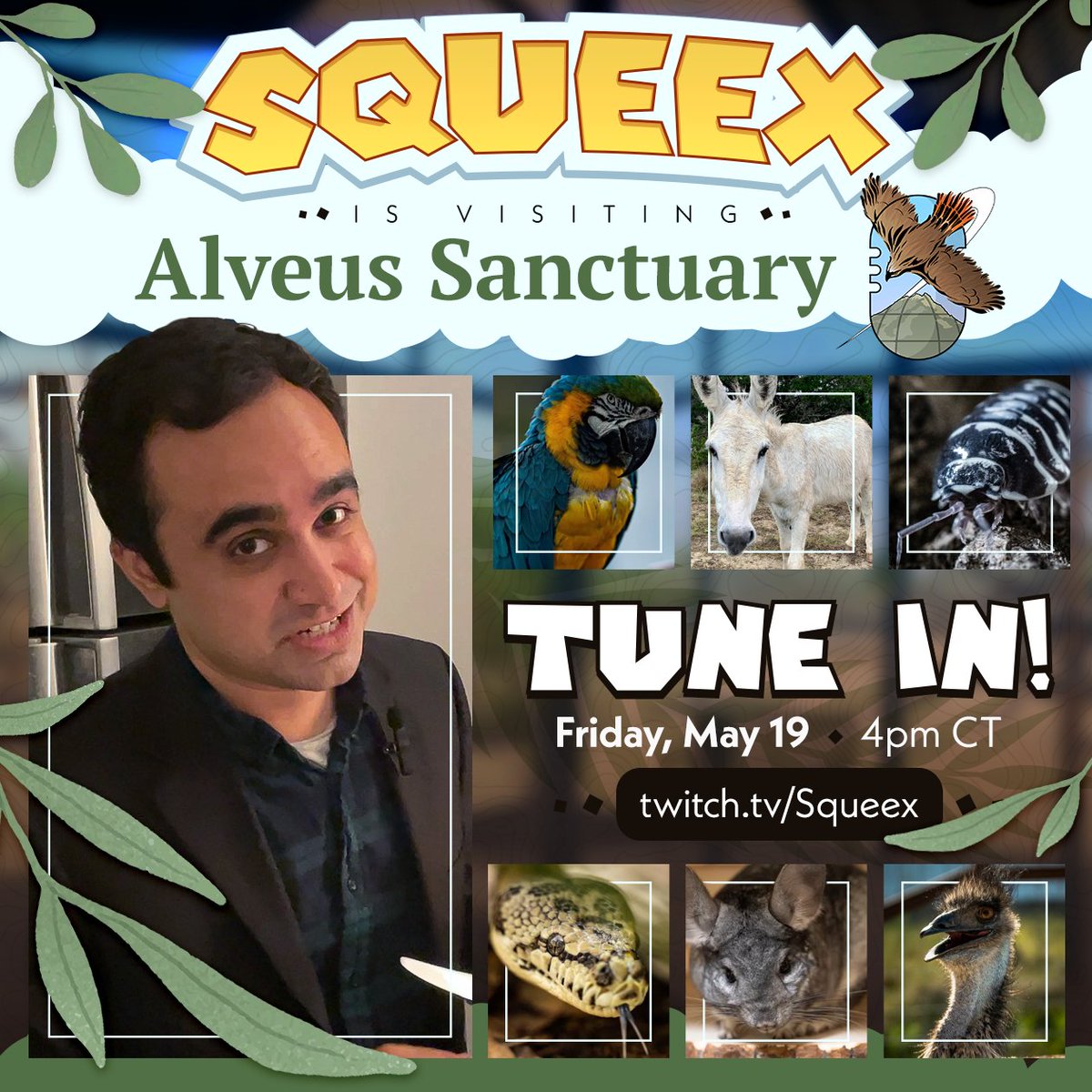Alveus Sanctuary on Twitter: "🚨 Join us tomorrow when the two biggest foreheads on twitch ...