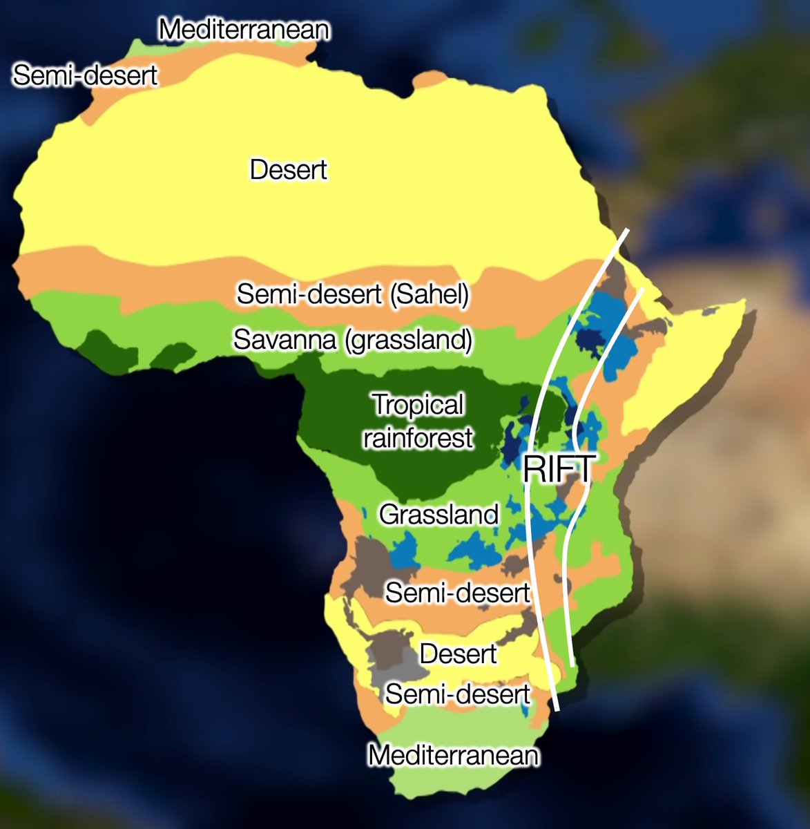 Thread by @tomaspueyo on Thread Reader App – Thread Reader App