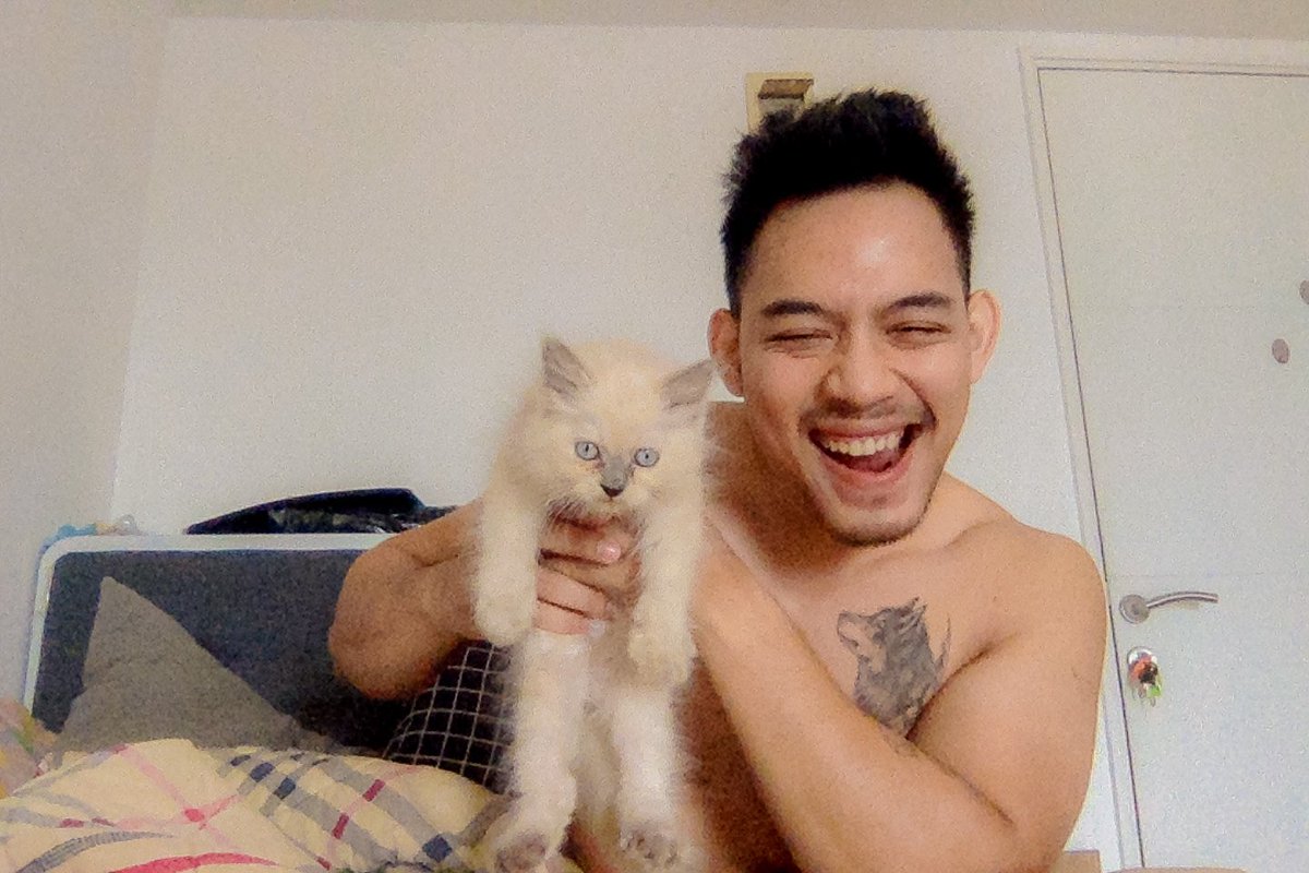 Ojan. on Twitter: "Meet Rosé, my new kitten! 🐈‍⬛ And hey, Eros, my other cat, is snoozing (not ...