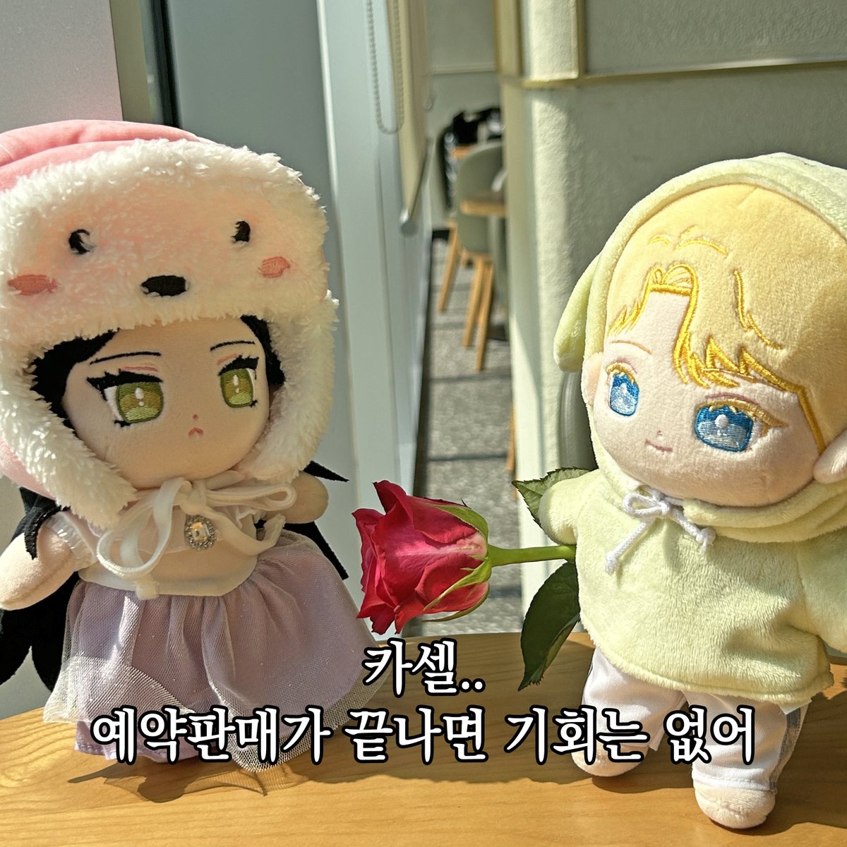 디씨씨이엔티 Dccent On Twitter ˙˚ ʚ ᕱ⑅ᕱ ɞ˚˙ 。• •。 ┏━o━o━┓ 나 이 예약 판매가