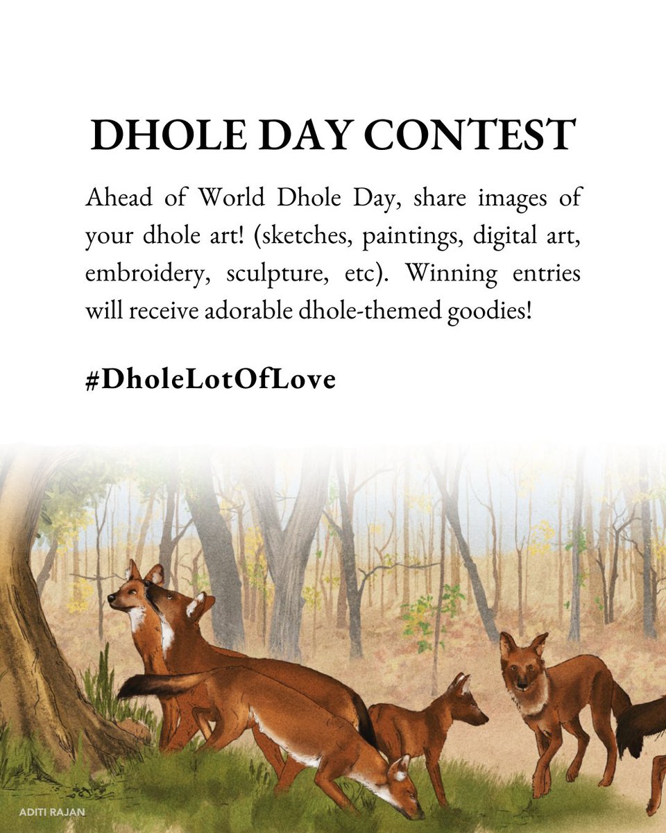 WCS India 💚 on Twitter: "Calling all artists and dhole enthusiasts ...