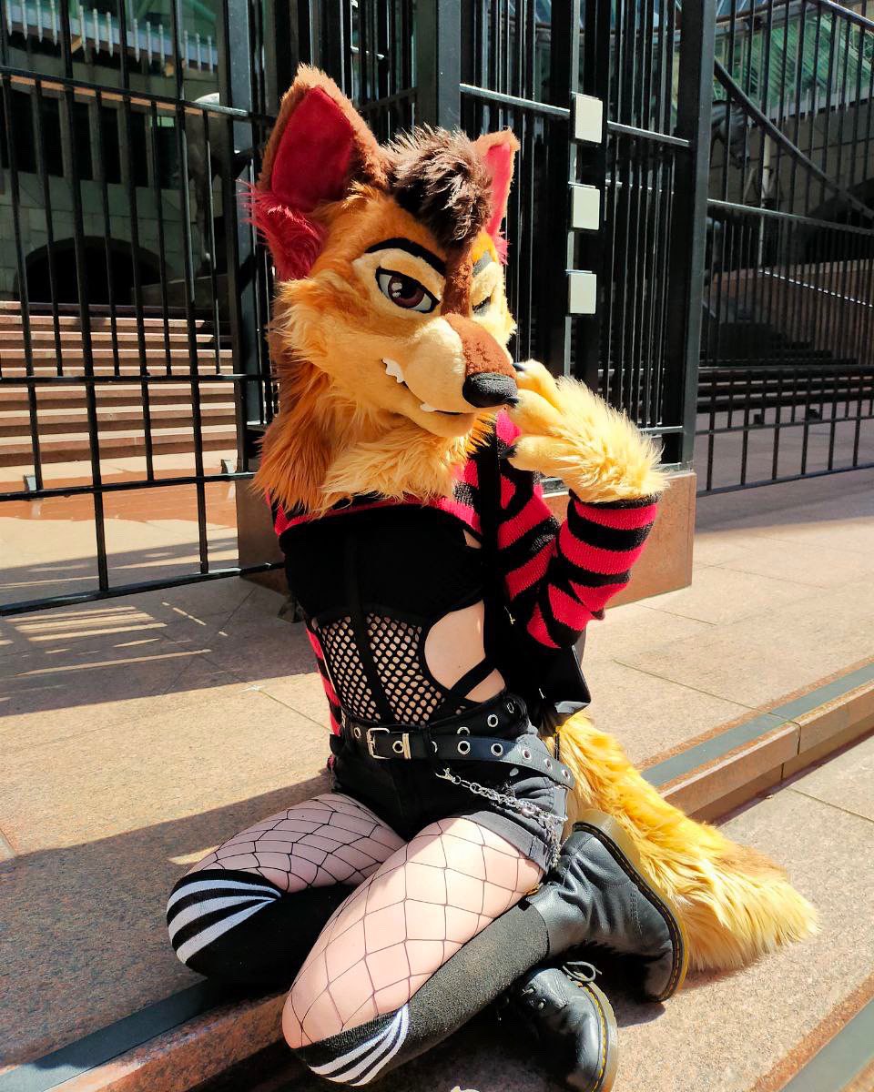 🖤Mutt🖤🔜LFM/CFZ#356 on Twitter: "@thatlabrawolf My current fave fit ️‍🔥 https://t.co/IbmvSD94Q4 ...