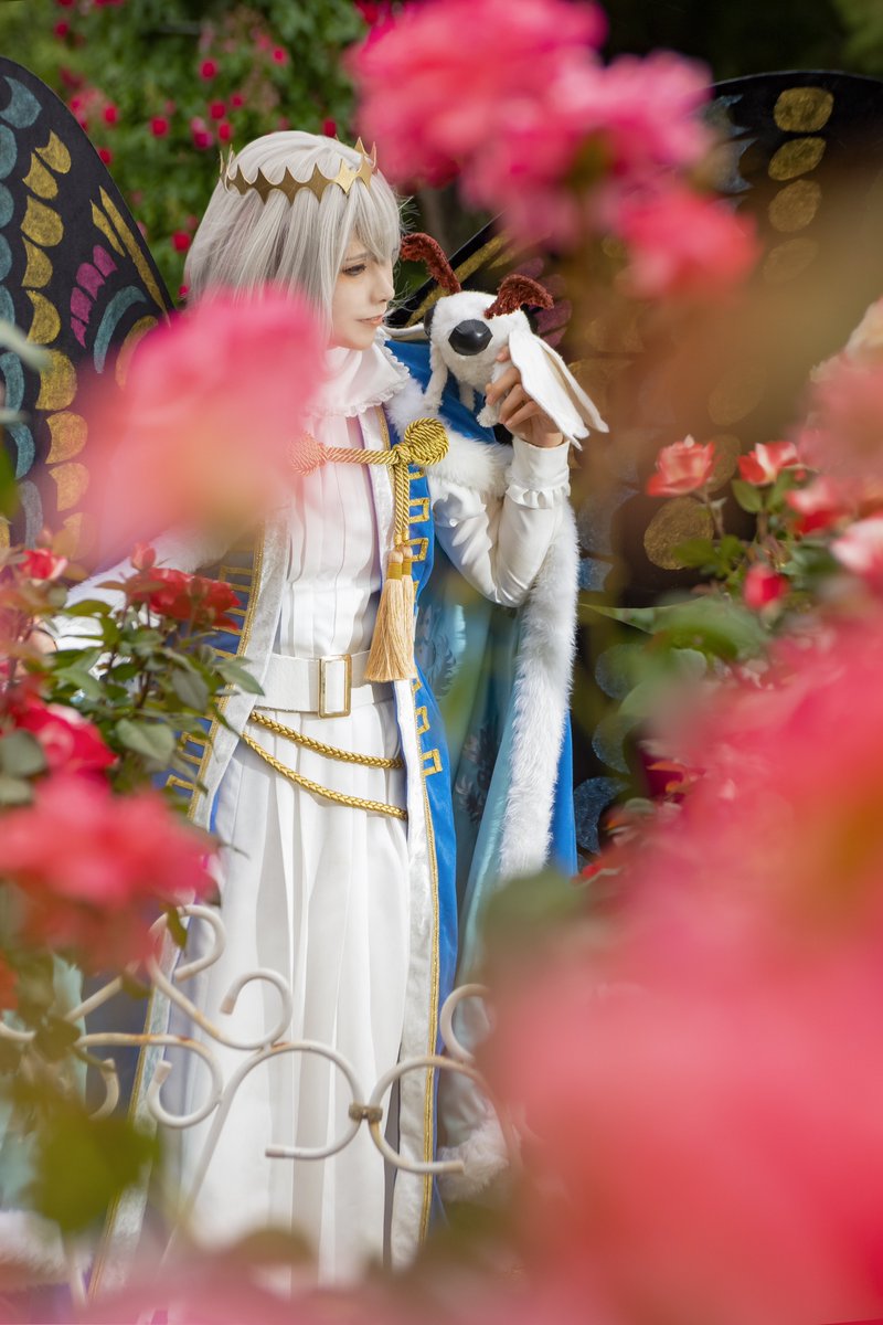 夜光夜希🦋あと-4.5kg on Twitter: "Fate/Grand Order FGO [ コスプレ/ cos / 4k ] オベロン ブランカ ︎ ︎ 芳香の中で ︎ ︎ 撮影:楿 ...