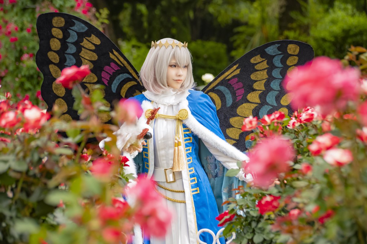 夜光夜希🦋あと-4.5kg on Twitter: "Fate/Grand Order FGO [ コスプレ/ cos / 4k ] オベロン ブランカ ︎ ︎ 芳香の中で ︎ ︎ 撮影:楿 ...