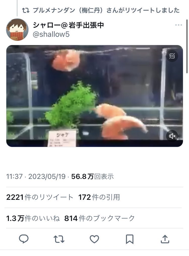 「Mitsua diffusionなど。クリーンな生成AIの作成を目指す絵藍ミツア氏のアカウントはこちら→@elanmit」嘯(しゃお, 𝕏iao)🩺🎨の漫画