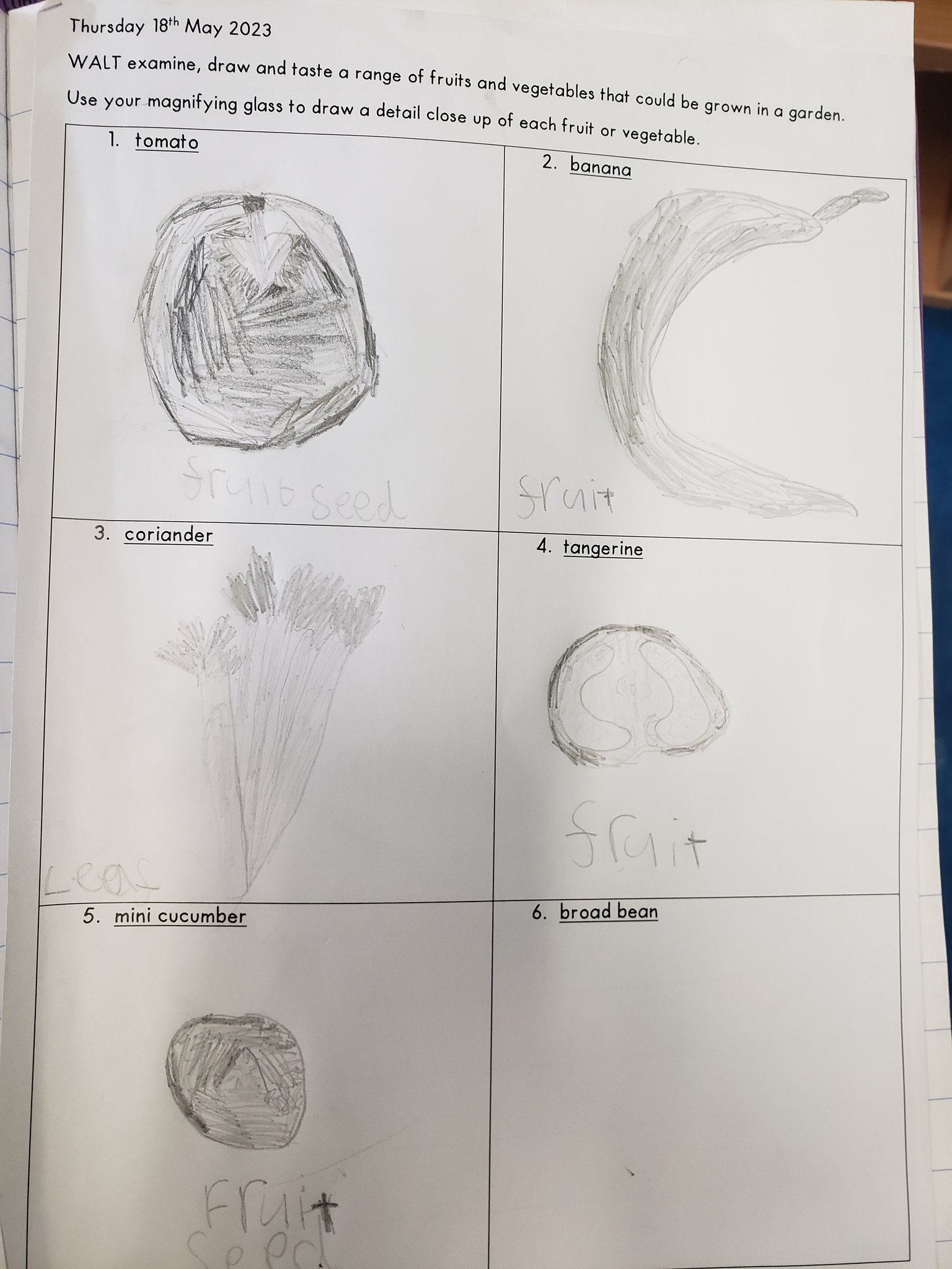 Gillespie Primary School on Twitter: "In Y1 our topic this term for ...