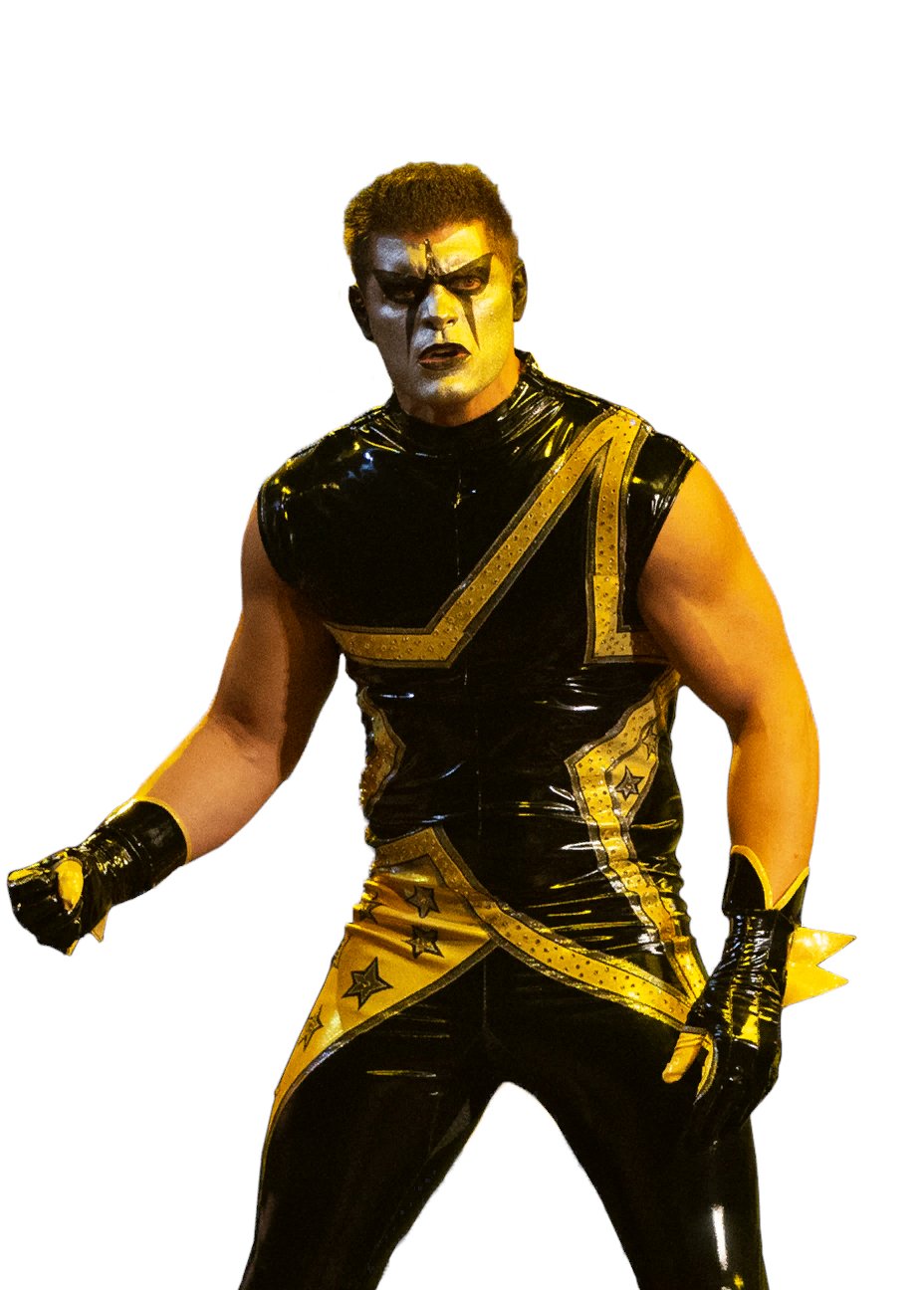 Stardust Wwe Suit