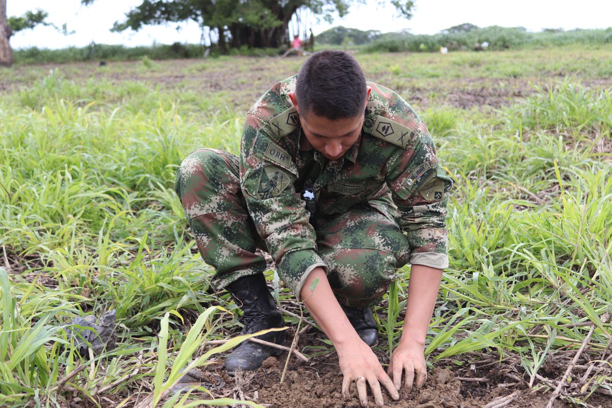 Fuerzas Militares de Colombia on Twitter: "Nuestro @COL_EJERCITO junto a @Corantioquia y la ...