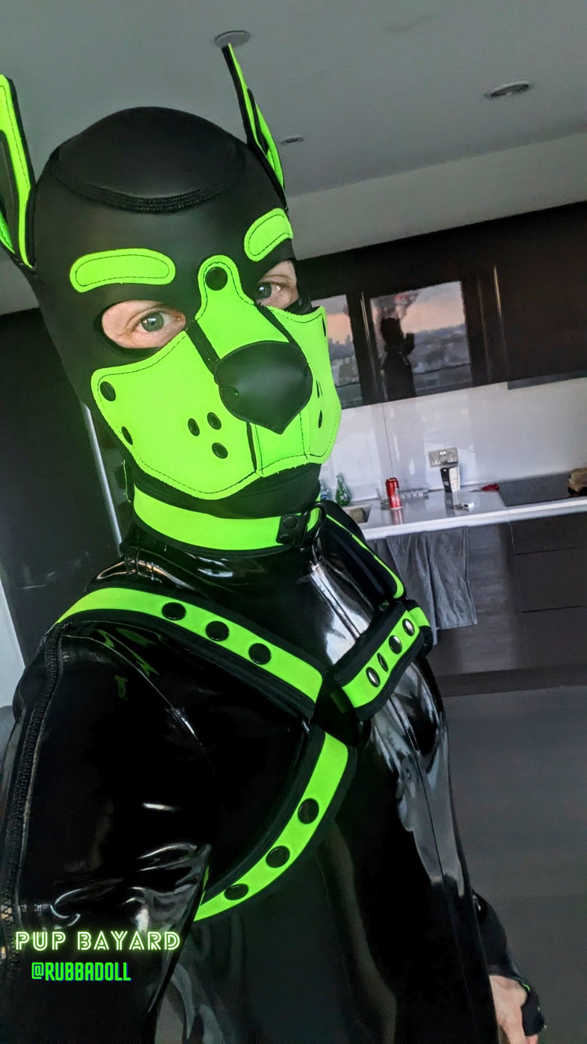 Pup Bayard / Rubberdoll Candy 🔜 Confuzzled on Twitter: "Time for walkies! 🐶😋 Catsuit from ...
