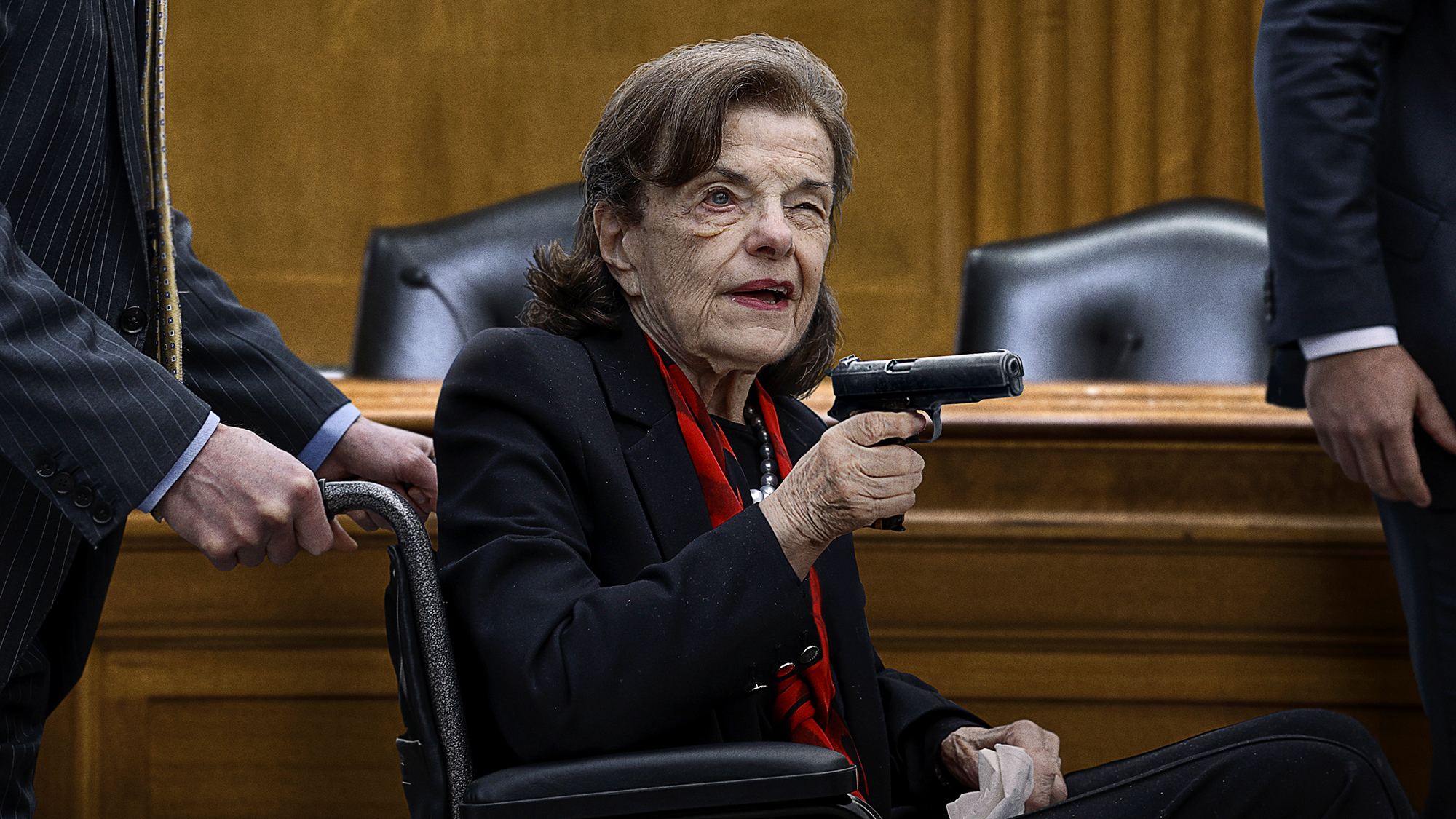 Dianne Feinstein Memes @mannyfidel Argues That We Should Implement