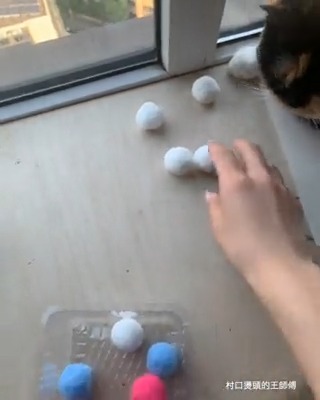 9GAG ️ Memeland on Twitter: "wrong ball!"