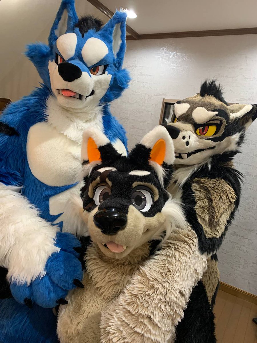 Wolfky on Twitter: "RT @wolfs_forehead: I want to go back to that fluffy, fun space again.🥺 またあの ...