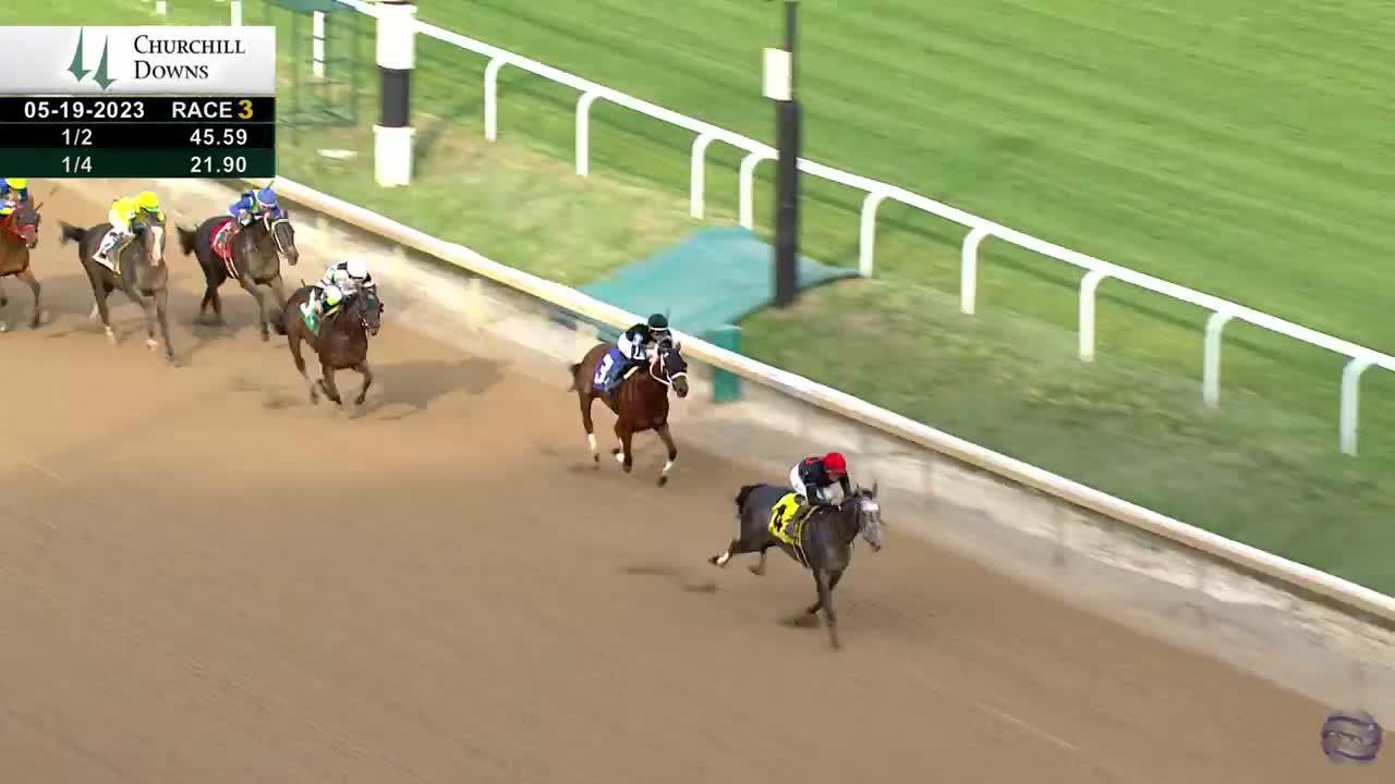 Matt Primmer (@Matthew_Primmer) / Twitter