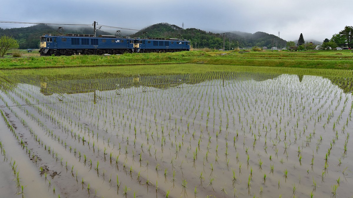 じゅん@ on Twitter: "RT @tammachi95: 2023.5.20 篠ノ井線 8087レ EF64 1039 + EF64 1044 水鏡最盛期といった感じです。今週末田 ...