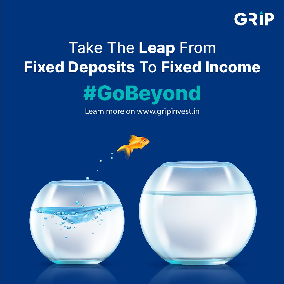 Grip Invest Company Profile & Overview | AmbitionBox