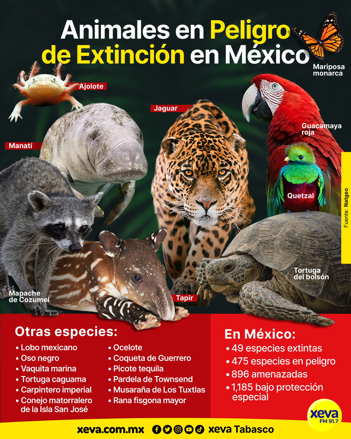Lista De Animales En Peligro De Extincion