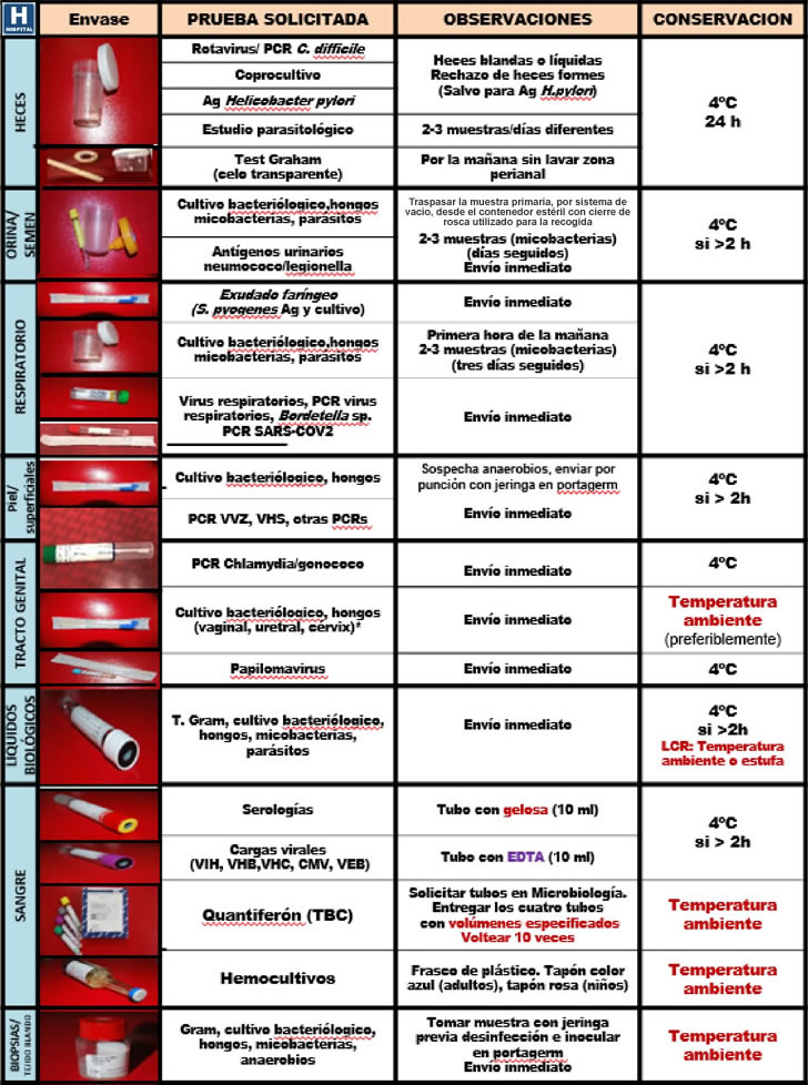 Nuevo Esquema Apuntes de Salud... TABLA RECOGIDA DE MUESTRAS PARA ... Nuevo Esquema Apuntes de Salud... TABLA RECOGIDA DE MUESTRAS PARA ...