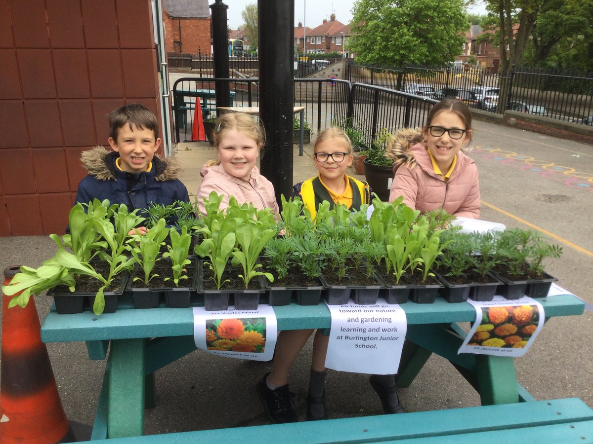 RHS Campaign for School Gardening on Twitter: "RT @burlingtonjnr: We ...
