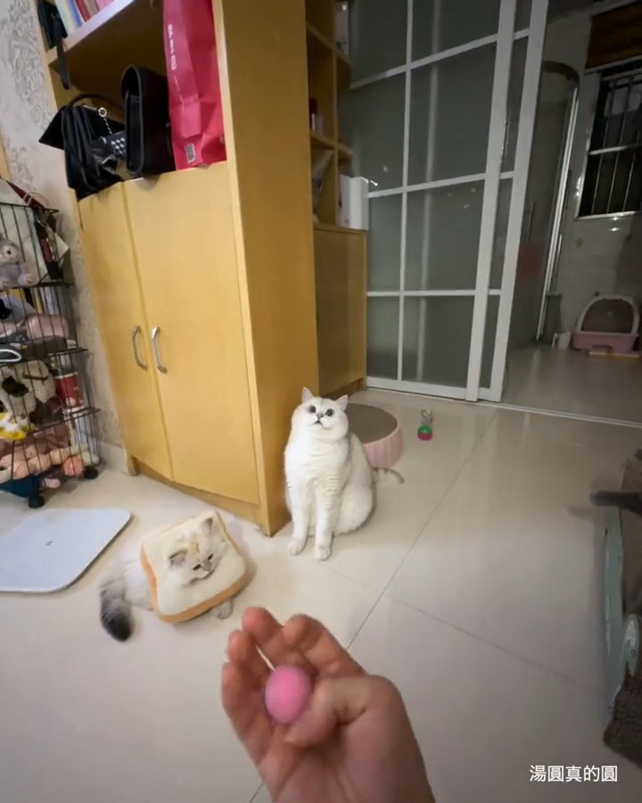 9gag пёџ Memeland On Twitter Eyes Of Wisdom