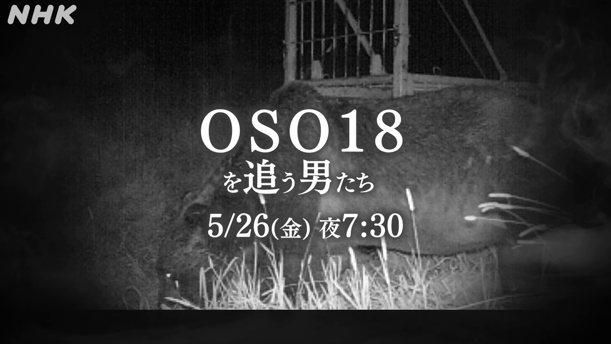 ぐまおじあ on Twitter: "RT @nhk_hokkaido: 【ヒグマ】 #OSO18 というコードネームを付けられたヒグマを覚えているだろうか？ 放牧中の牛を襲った、あのヒグマ ...