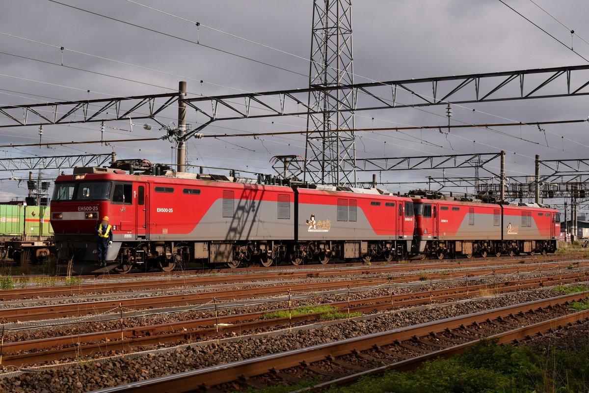 鈴🎌︎︎︎︎︎ on Twitter: "2081レ EH500-25+EH500-14(無動)+コキ ※パンタグラフ破損の為無動力回送 2023/05/20"
