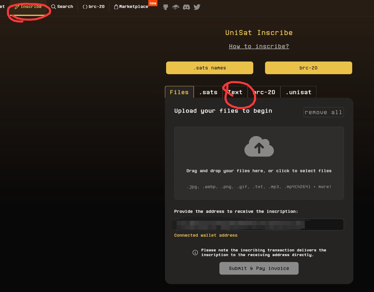 0xQiao on Twitter: "第一个 #BRC721 的NFT { "p": "brc-721", "op": "mint", "tick": "bitcat", "id ...
