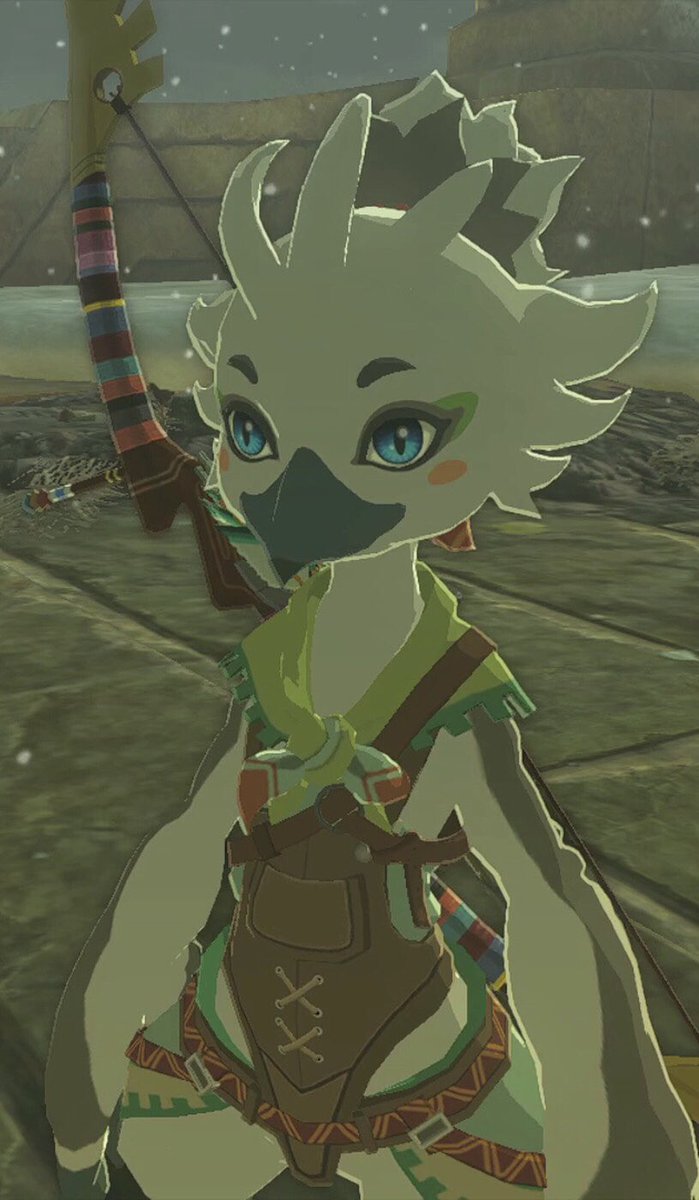 The Kemoshota of the Day is Tulin from The Legend of Zelda: Tears of ...