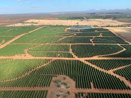 ZZ2 Family Business is a one Massive Empire : +100 year old Billion ...