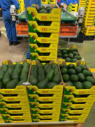 ZZ2 Family Business is a one Massive Empire : +100 year old Billion ...