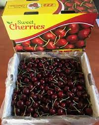 ZZ2 Family Business is a one Massive Empire : +100 year old Billion ...