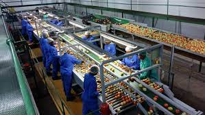 ZZ2 Family Business is a one Massive Empire : +100 year old Billion ...