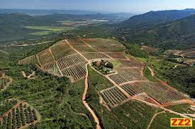 ZZ2 Family Business is a one Massive Empire : +100 year old Billion ...