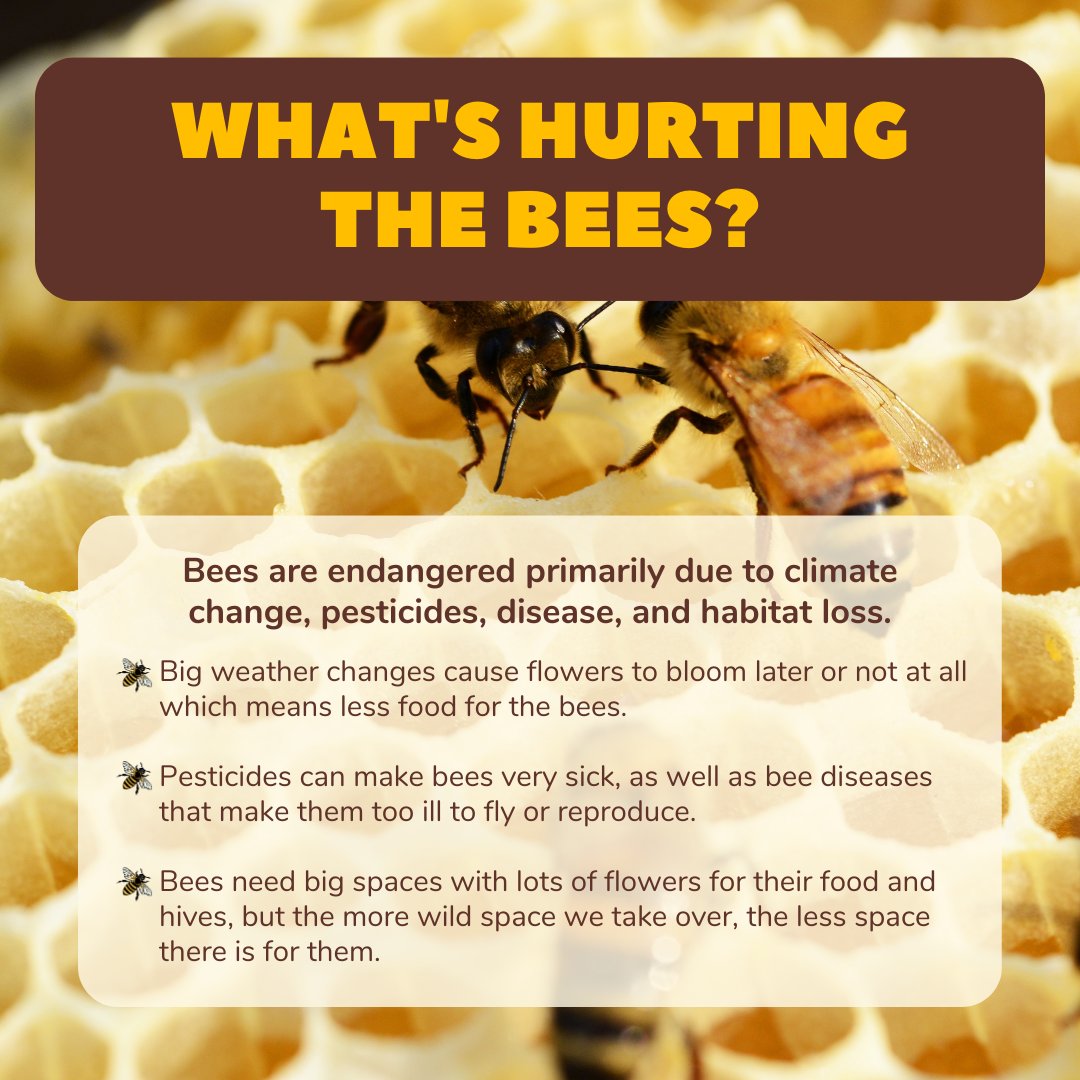 CA Science Center on Twitter: "What's the buzz? It's World Bee Day!🐝 ...