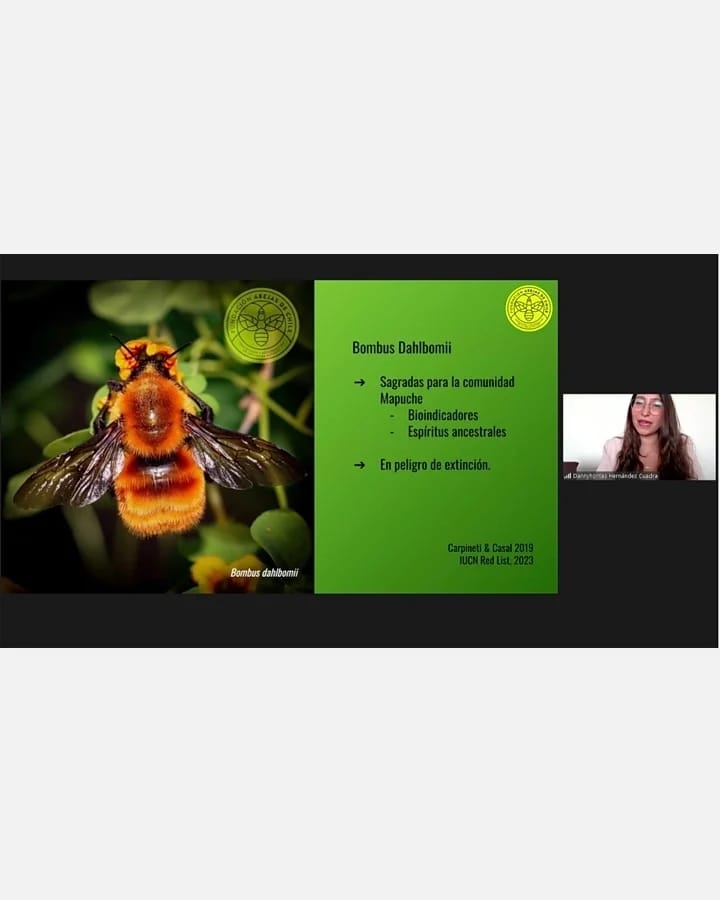 Fundación Abejas de Chile on Twitter: "Hoy estamos muy contentos, celebrando el Día Mundial de ...