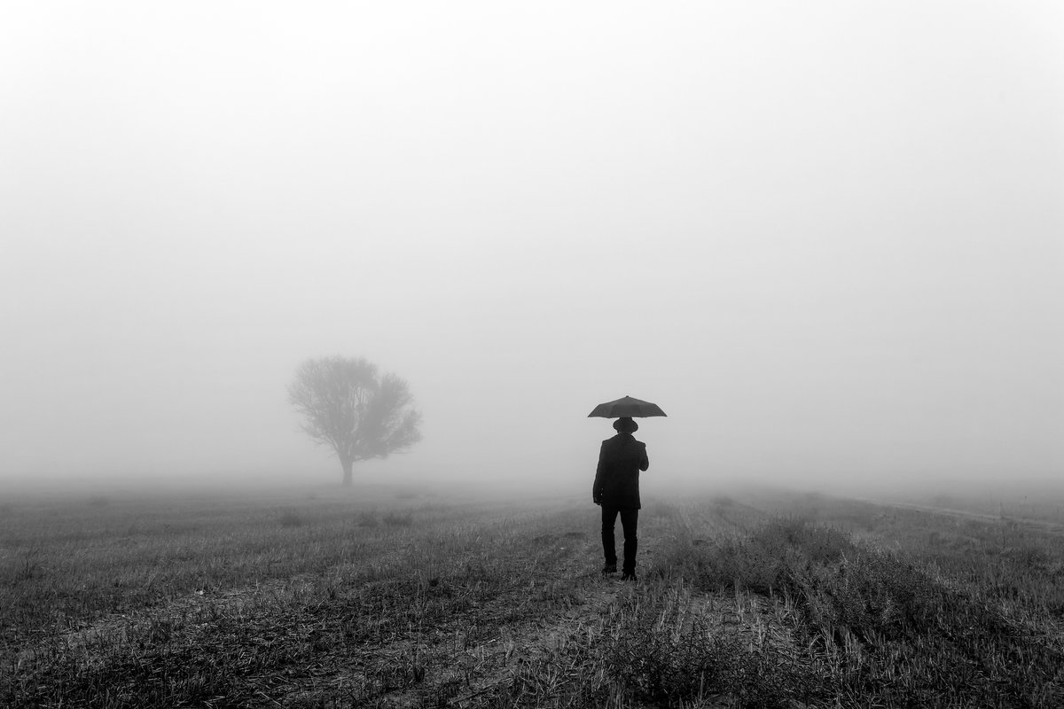 Hakan Biyiklioglu on Twitter: "Let's connect on objkt? https://objkt.com/profile ...