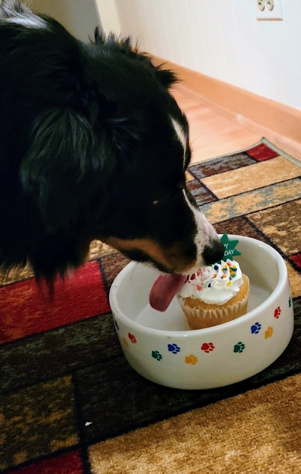 Dog Cupcake Gif