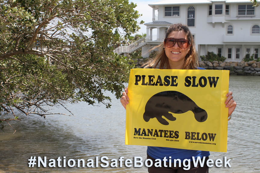 Save The Manatee Signs