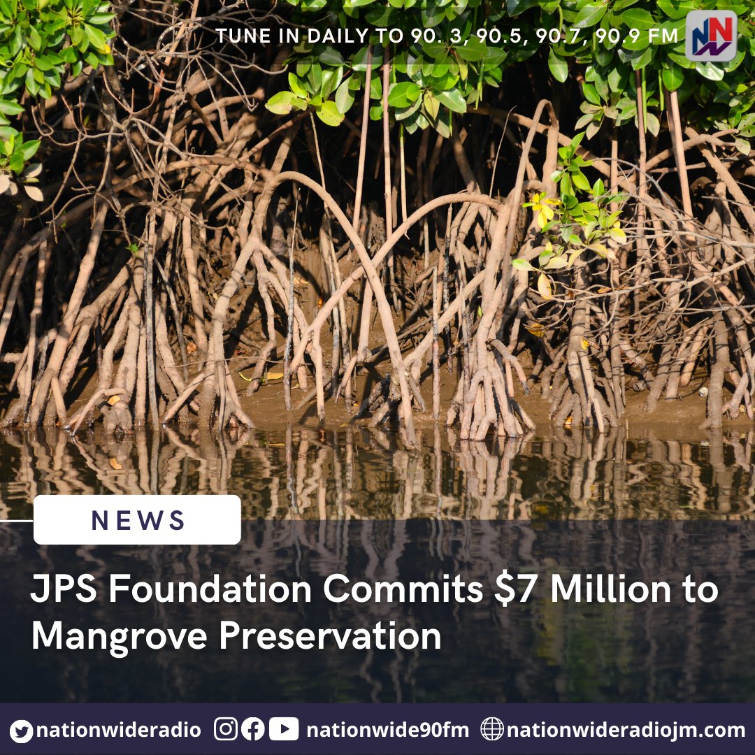 Jps Foundation Logo Vision Of Excellence Winners 2024 | Jenks Public