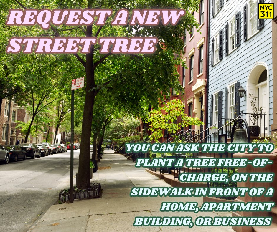 New Tree And Sidewalk