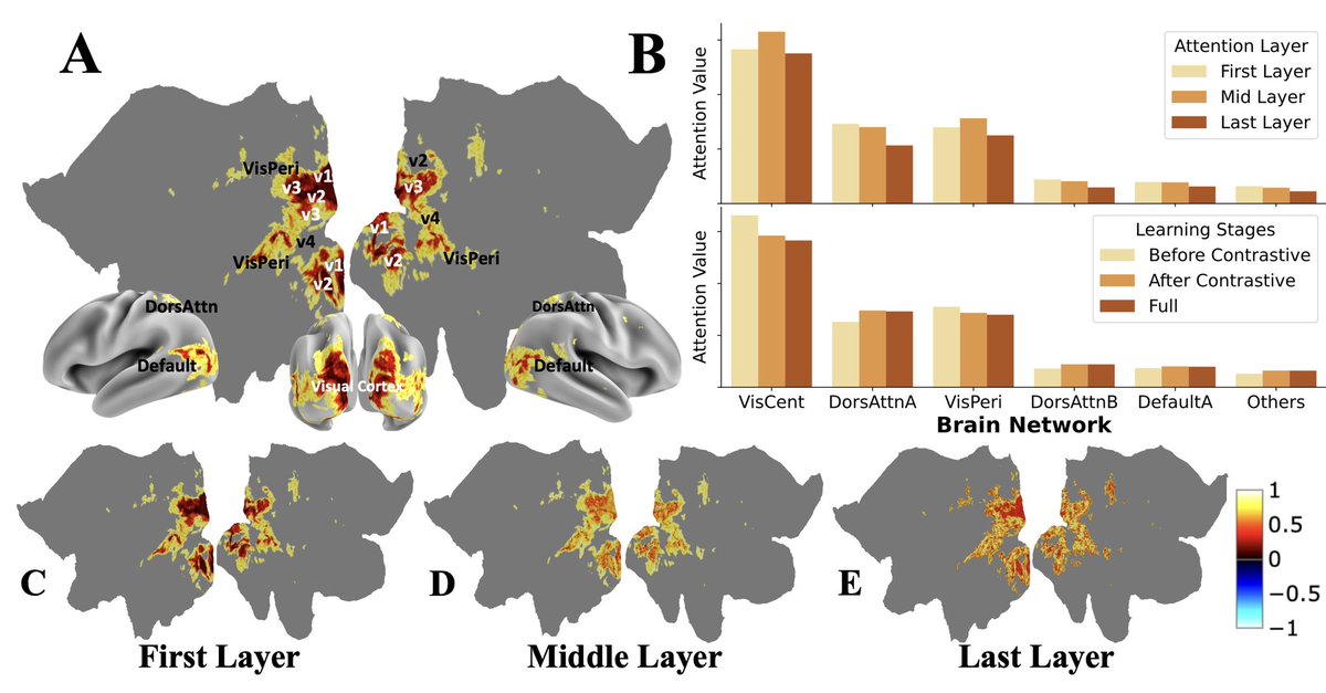 🧵🧠 We're witnessing incredible scientific progress in image & text ...