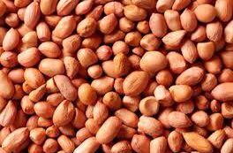 VYAKULA VYA KULA KABLA YA SEX. UZI 🧵. RETWEET KUOKOA NDOA YA MMPENDWA ...