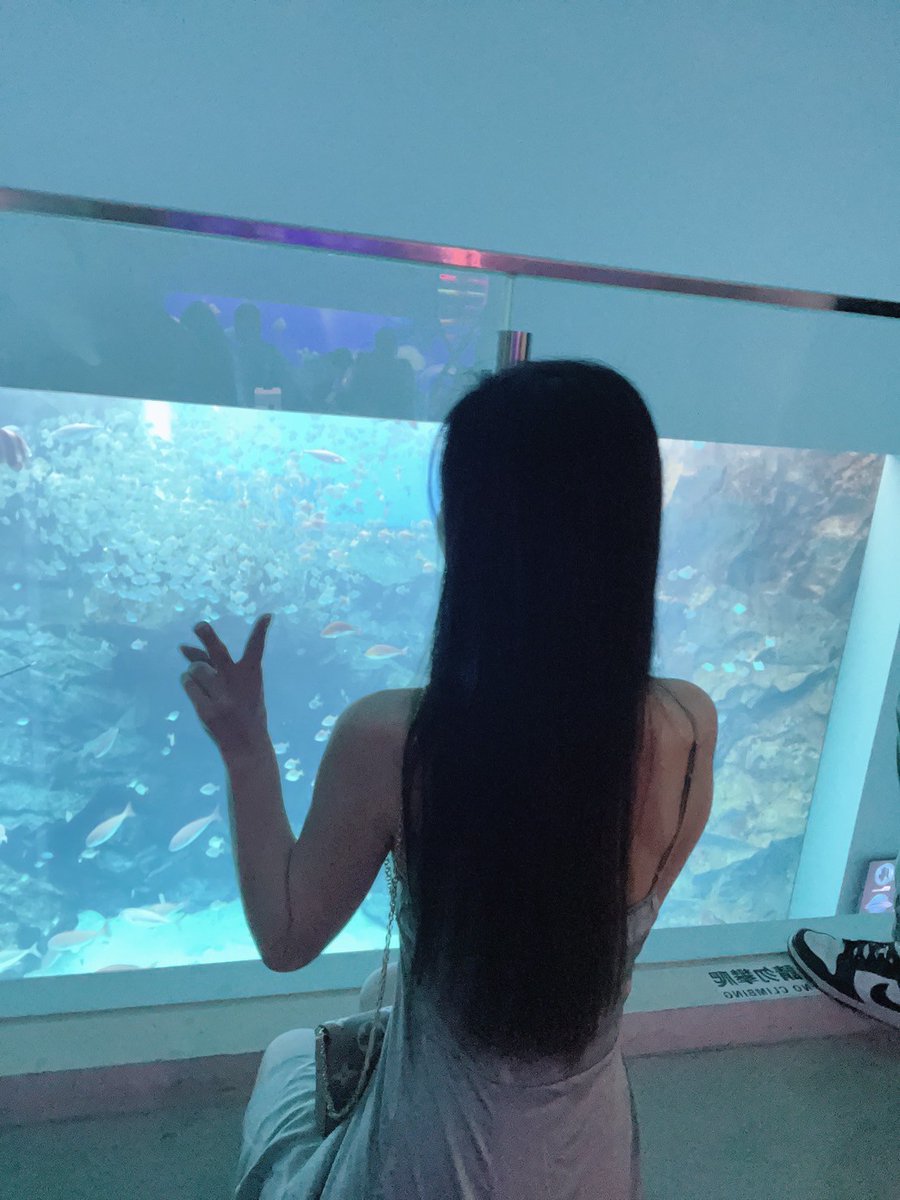 夢夢 Monmon on Twitter: "帶我出去玩~ https://lin.ee/dftvOaF"